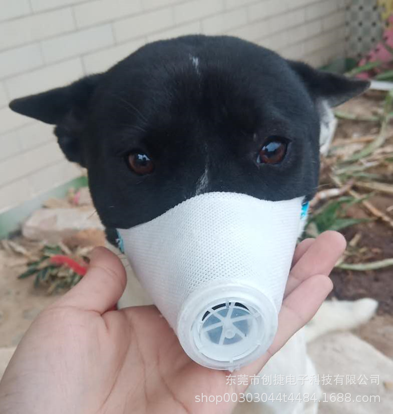 Wholesale 3pcs Dog Face Mouth Mask Soft Pet Respiratory Filter Anti ...